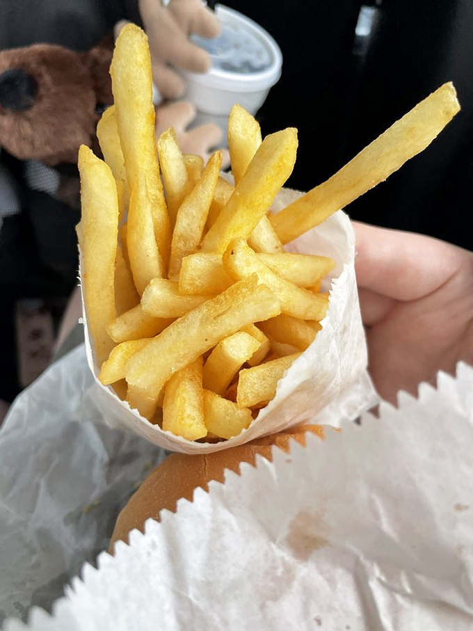 Golden fries, crisp outside and fluffy inside, stand at attention in their paper sleeve &ndash; the perfect sidekick to any burger adventure.