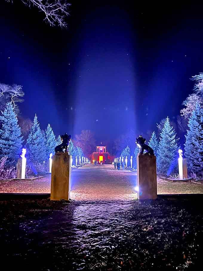 Fu Dog Garden: Illuminated pathways create a midnight wonderland where stone guardians have watched over dreams for generations.