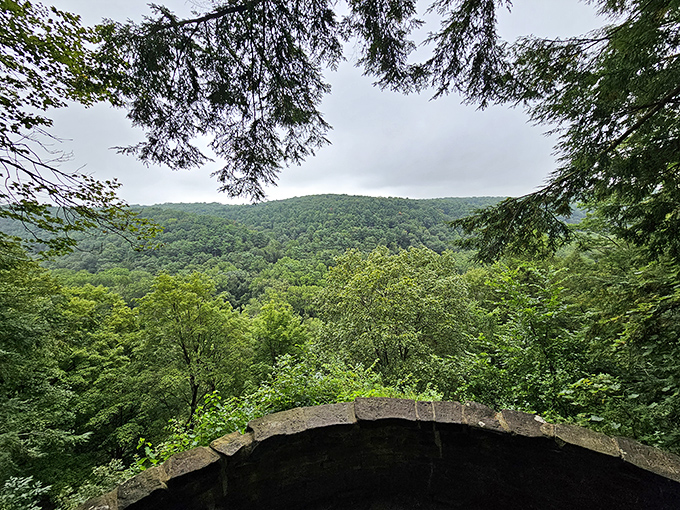 Nature's infinity pool: From this vantage point, the gorge overlook reveals an endless carpet of treetops stretching toward the horizon. Your Instagram followers are already jealous.