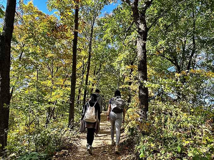 Forest paths beckon adventurers into their leafy embrace, promising discoveries that no smartphone notification could ever match.