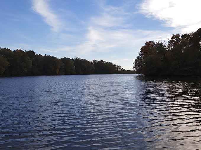 Sometimes the best therapy isn't talking, it's just staring at water until your brain remembers how to be quiet.