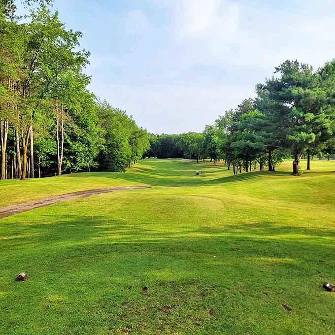 Hampshire Country Club's rolling fairways offer golfers both challenge and serenity, with views that might distract from your swing.