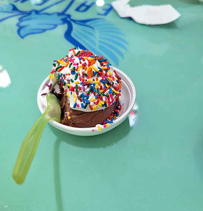 Sprinkles transform this rich chocolate scoop into a celebration. One bite and you'll understand why chocolate deserves its own commandment.