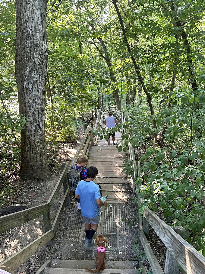 Wooden staircases invite explorers downward, like something from a storybook adventure &ndash; minus the trolls, plus the occasional squirrel.