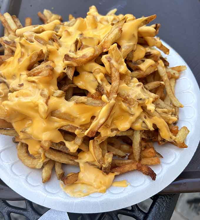 These cheese fries are what happens when potatoes and dairy products join forces to create something greater than the sum of their parts.