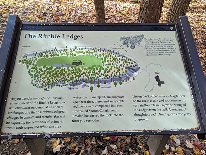 The informational sign reveals the geological history &ndash; this landscape was once a swampy coastline 320 million years ago!