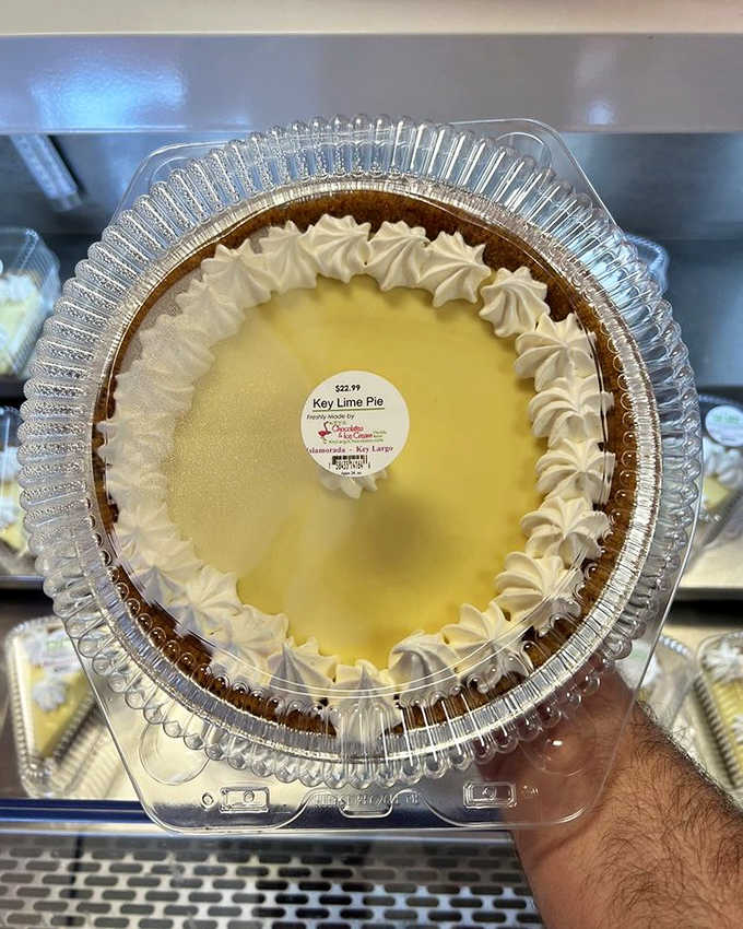 Pale green perfection that captures Florida sunshine in frozen form, complete with graham cracker pieces that somehow maintain their crunch.