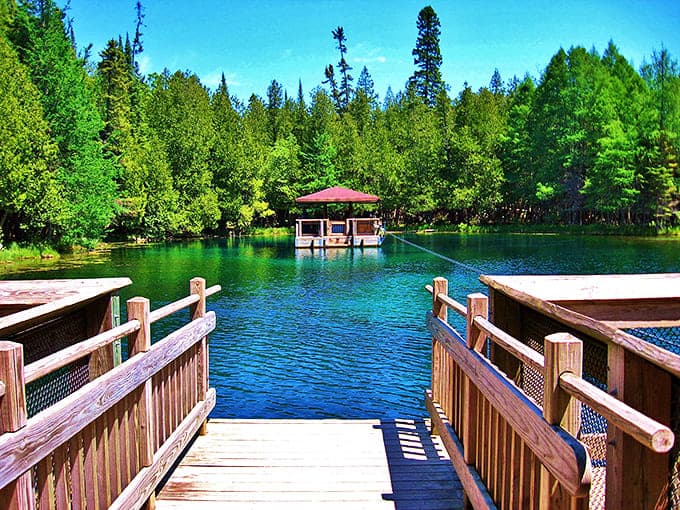 The observation raft at Kitch-iti-kipi offers a floating window into an underwater ballet of ancient trees and curious fish.
