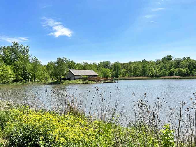 The tranquil waters reflect the surrounding trees like nature's mirror, creating a double dose of beauty for appreciative eyes.