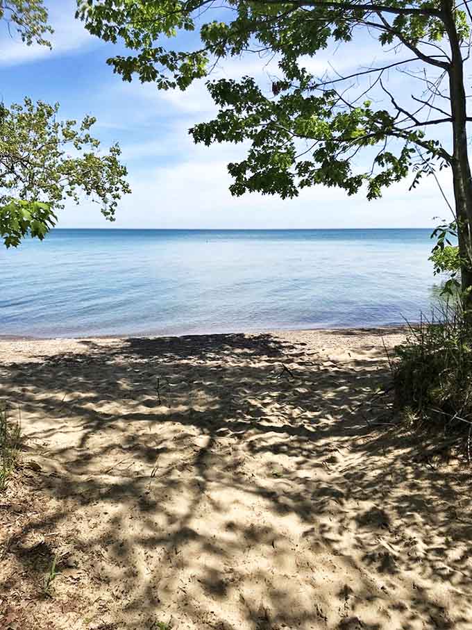 Dappled sunlight filters through the trees, creating nature's own welcome mat to a secluded sandy beach hideaway.