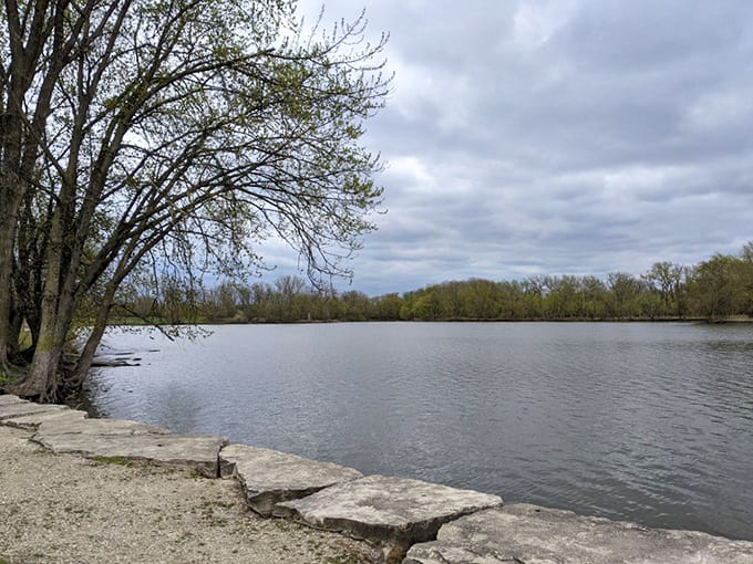 Lakeside: Stone sentinels line the water's edge, where trees stretch toward their reflections in nature's most honest mirror.