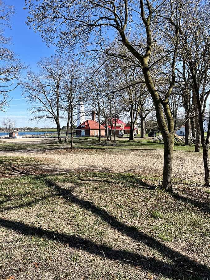 Mature trees provide natural shade for those who prefer their beach time without the lobster-red souvenir tan that nobody actually wants to take home.
