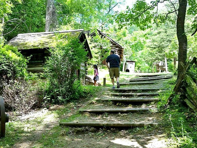 Nature reclaims the edges of this rustic trail, where wooden steps lead visitors through Heritage Canyon's living history.
