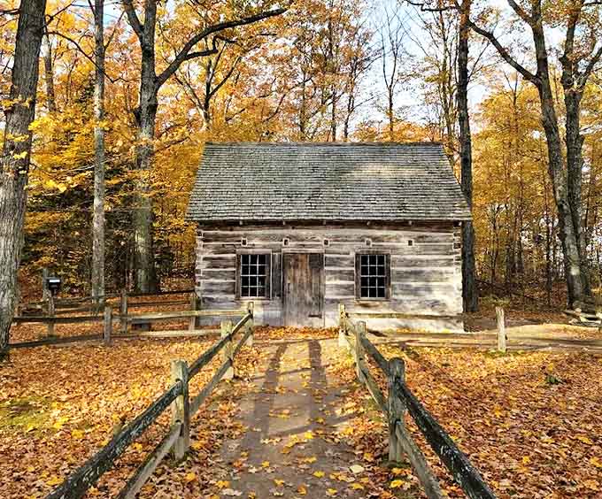 Autumn leaves create a golden carpet leading to this pioneer cabin, where hand-hewn logs tell stories of Michigan's resilient early settlers.