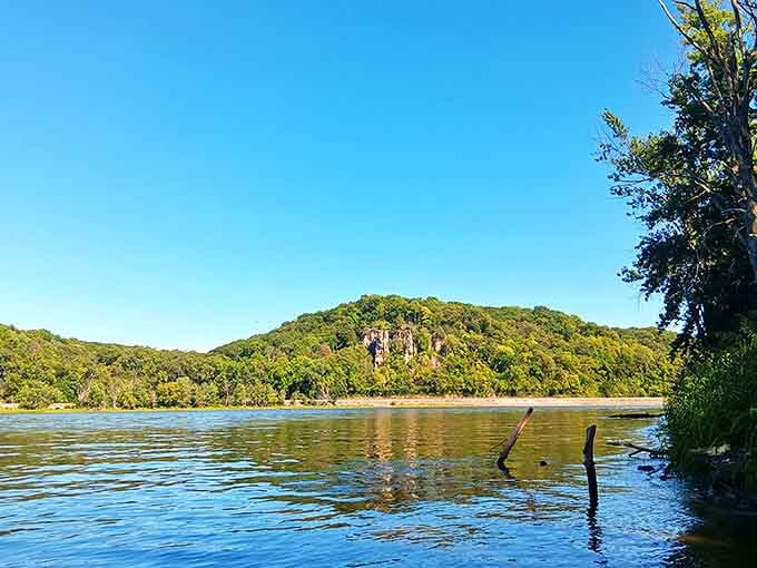 The mighty Mississippi in all its glory &ndash; more than just a river, it's America's liquid backbone supporting countless ecosystems.