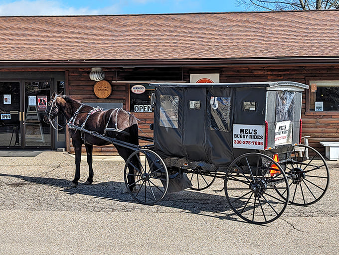 Experience travel at horse-speed, where the journey truly matters more than the destination.