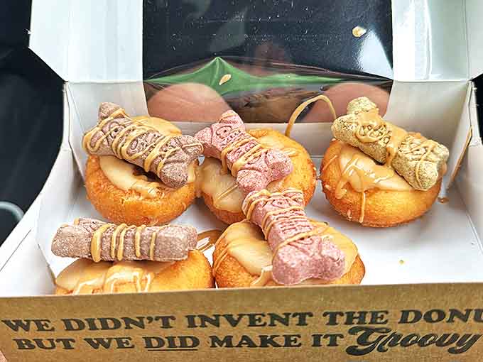 This donut with bone-shaped treats perched atop proves that peace, love, and sugar aren't just for humans &ndash; even four-legged friends can join this tasty revolution.