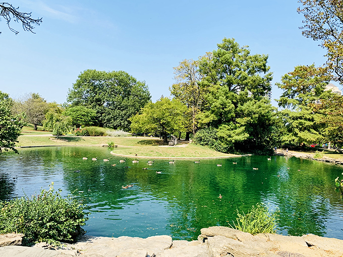 Mirror Lake lives up to its name, doubling the beauty of Eden Park in its glassy surface.