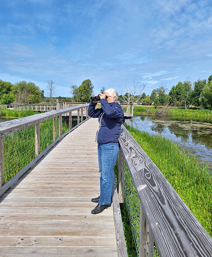 Bird watching reaches new heights at Arcadia Marsh, where patience rewards you with spectacular wildlife sightings.