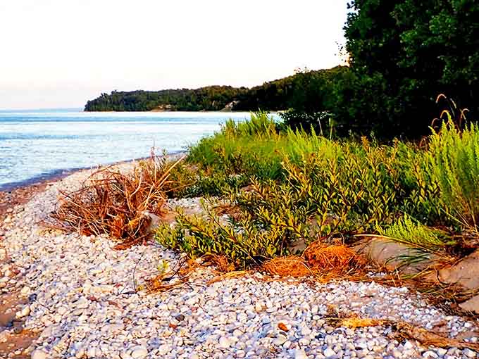 Nature's perfect dock – where civilization loosens its grip and island time begins. Leave your worries on the mainland; they'll still be there when you return.