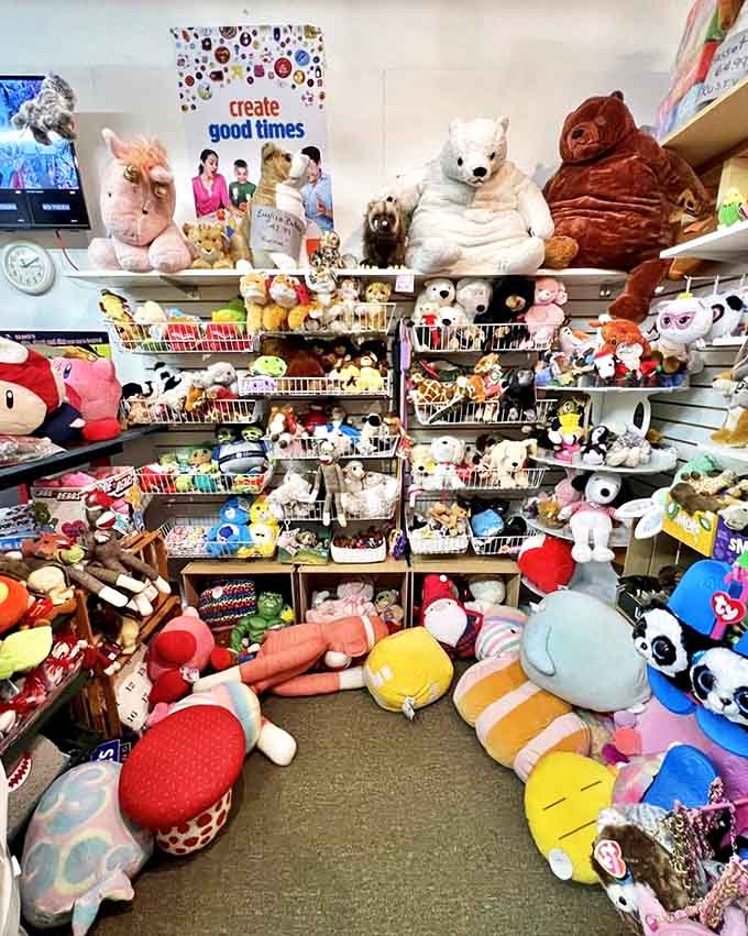 The stuffed animal section &ndash; where plush companions with soulful eyes patiently wait for the perfect hug from the perfect person.