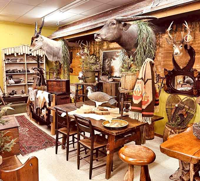 This isn't your typical home decor section, unless your home happens to be a natural history museum or very adventurous hunting lodge.