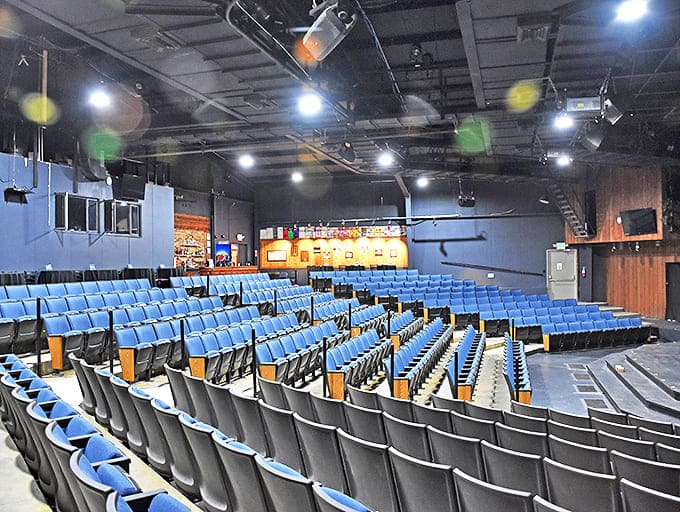 Timber Lake Playhouse brings Broadway-quality performances to rural Illinois, proving great theater doesn't need a zip code with "NYC" in it.