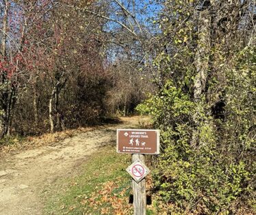 The Otherworldly Trail In Ohio Where You’ll Find Wonderfully Bizarre ...