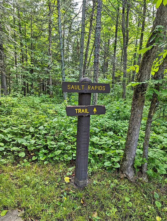 The Sault Rapids Trail sign stands sentinel in the forest, pointing adventurers toward rushing waters and quiet discoveries.