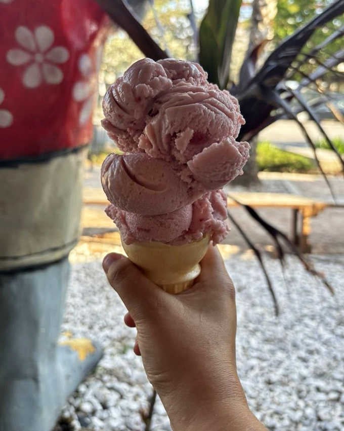 Vegan strawberry ice cream that's so creamy and vibrant, dairy lovers order it on purpose. Florida sunshine captured in a cone, no cow required.
