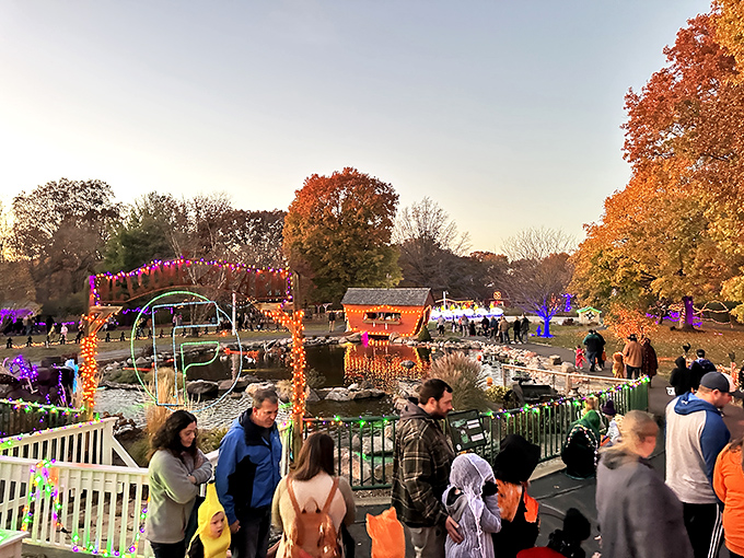 As autumn leaves ignite the landscape, Halloween festivities transform the farm into a family-friendly wonderland of lights and laughter.