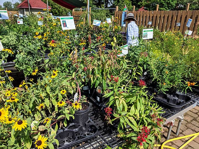 Rows of plants and flowers await in the garden center, ready to transform your yard from "meh" to "wow" with expert guidance.
