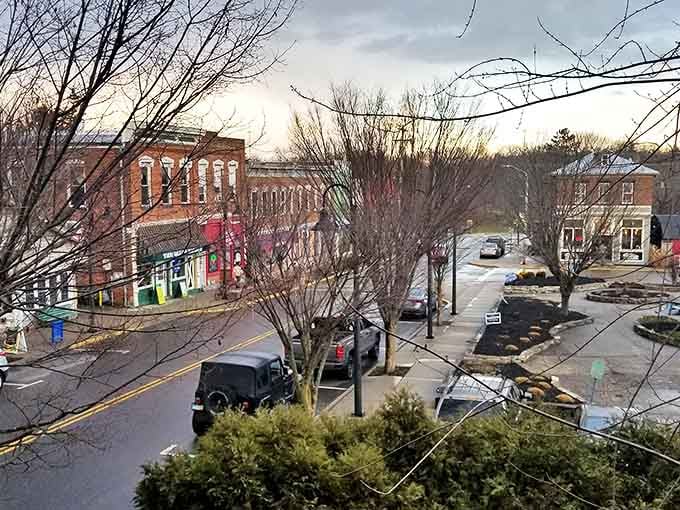 Through the winter branches, a view of downtown captures that magical moment when small-town charm meets big-time personality.