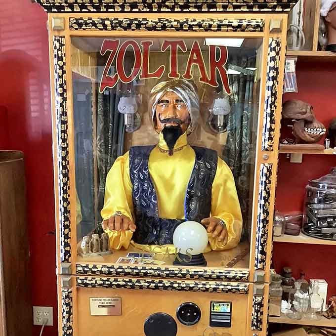 Zoltar knows all, sees all, and judges your outfit choices while dispensing wisdom from his mystical cabinet.