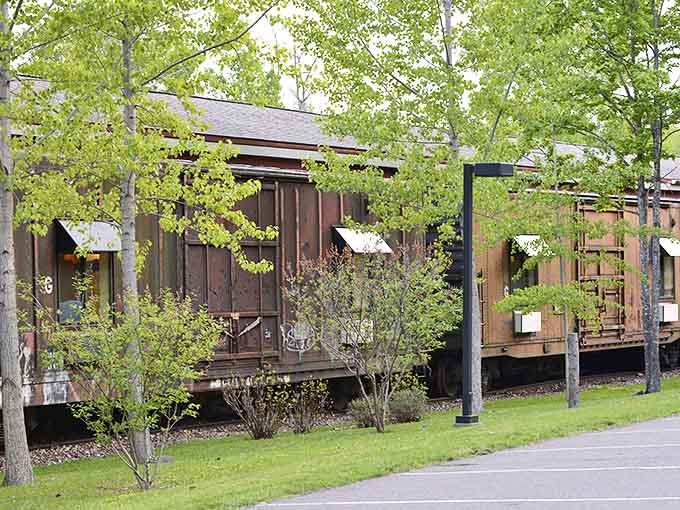 A row of history-rich boxcars nestled among birch trees &ndash; each one holding stories both past and waiting to be made.