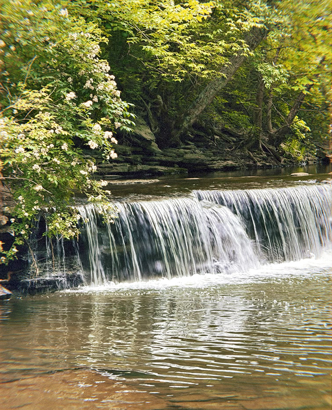 Water cascades in a perfect curtain, creating nature's own spa treatment where stress dissolves faster than sugar in hot coffee.