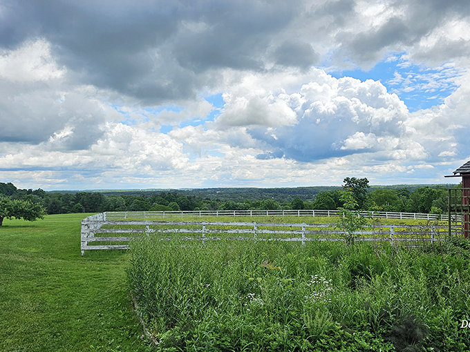Sweeping vistas of open meadows stretch toward the horizon, offering the same breathtaking views that greeted Ohio's early settlers.