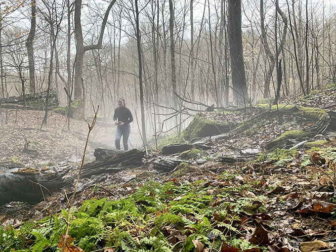 Foggy Forest: A touch of morning mist adds a mysterious, ethereal feel as you wander through the quiet, mossy autumn woods.