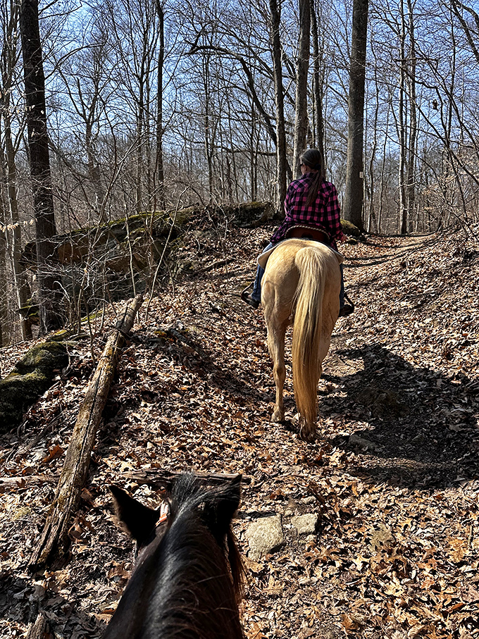Horseback riding trails near Hosak's Cave offer a different perspective on Salt Fork's beauty. Your Instagram followers won't believe this is Ohio, not Montana.