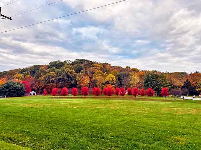 Fall in Granville paints the landscape in colors so vivid you'll think Mother Nature hired a new interior decorator with a flair for the dramatic.