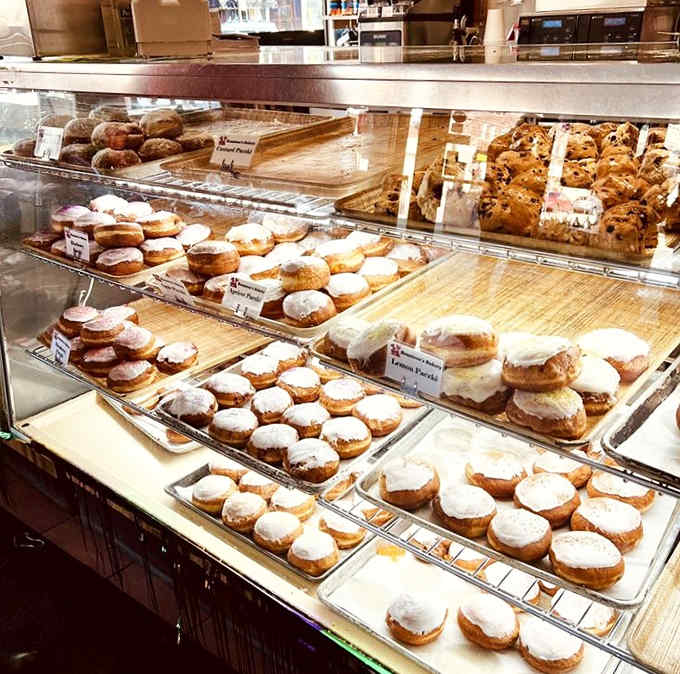 Lemon paczki lined up like little pillows of citrus heaven, proving that Polish traditions and French techniques make delicious neighbors.
