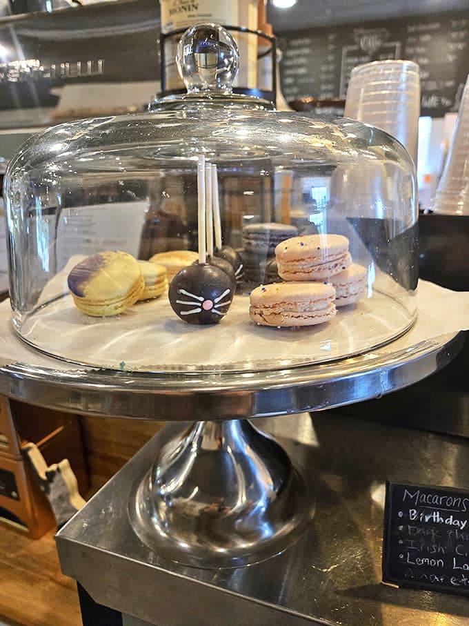 Under glass domes like precious jewels, these colorful macarons and whimsical cat-shaped treats wait to delight both the eye and palate.