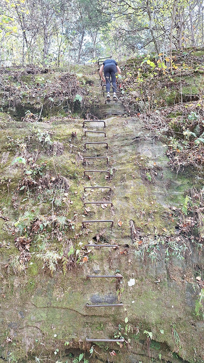 The infamous ladder climb &ndash; not for the faint of heart but worth every white-knuckled moment.