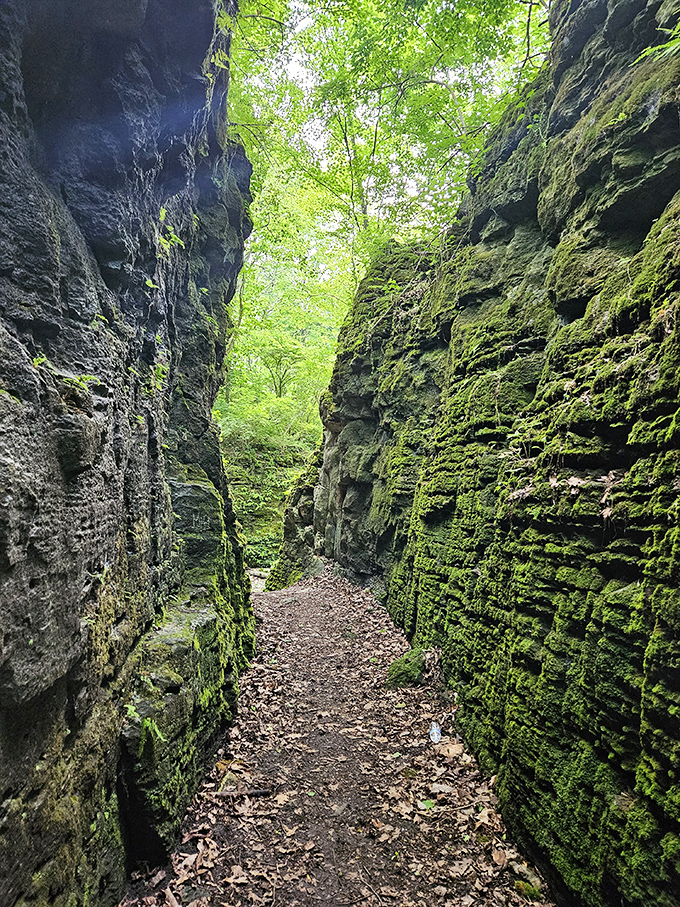 Nature's hallway &ndash; these moss-covered walls look like they've been waiting millennia for you to walk through and appreciate their patient handiwork.