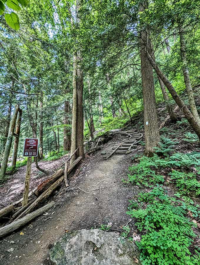 This trail doesn't just lead to views, it leads to the kind of perspective shift that expensive therapy promises but rarely delivers.