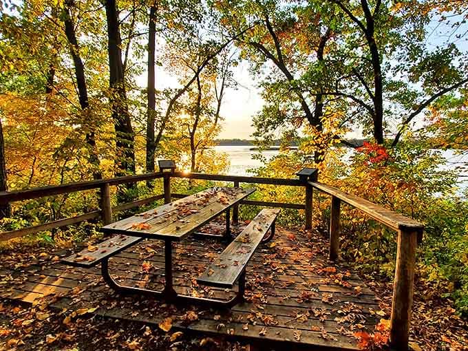 Autumn's paintbrush transforms this lakeside picnic spot into a masterpiece that no restaurant view could possibly compete with.
