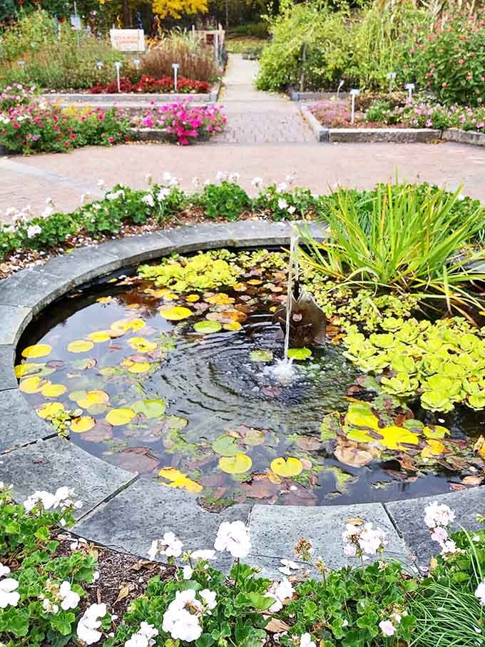 A serene lily pond with bubbling fountain creates nature's meditation space &ndash; the kind of spot where minutes turn to hours unnoticed.