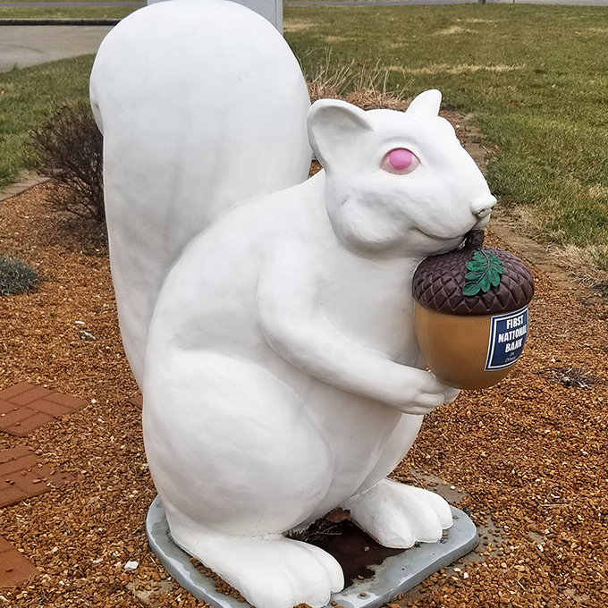 This oversized squirrel statue won't scamper away when you reach for your camera &ndash; unlike its living counterparts who are masters of disappearing acts.