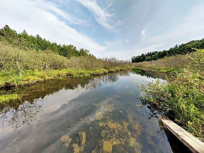 Otter Creek's crystal waters flow lazily toward Lake Michigan, creating a natural playground where warm meets cool.