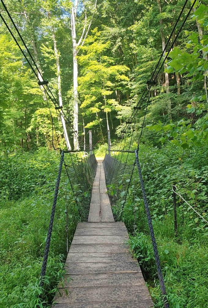 The swinging bridge offers just enough wobble to make your stomach flutter, while promising views worth the momentary "what am I doing?" thoughts.